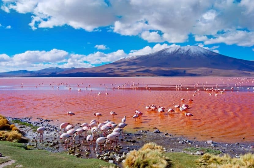 Visitar el Salar de Uyuni: Consejos y recomendaciones | IATI Seguros