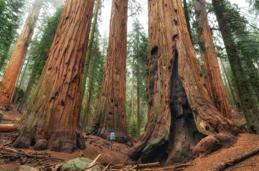 Qué hacer en California: 12 lugares que no te puedes perder | IATI Seguros