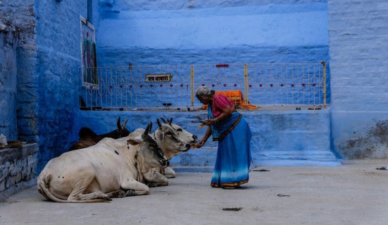 Qué se necesita para viajar a India desde España en 2025 | IATI Seguros