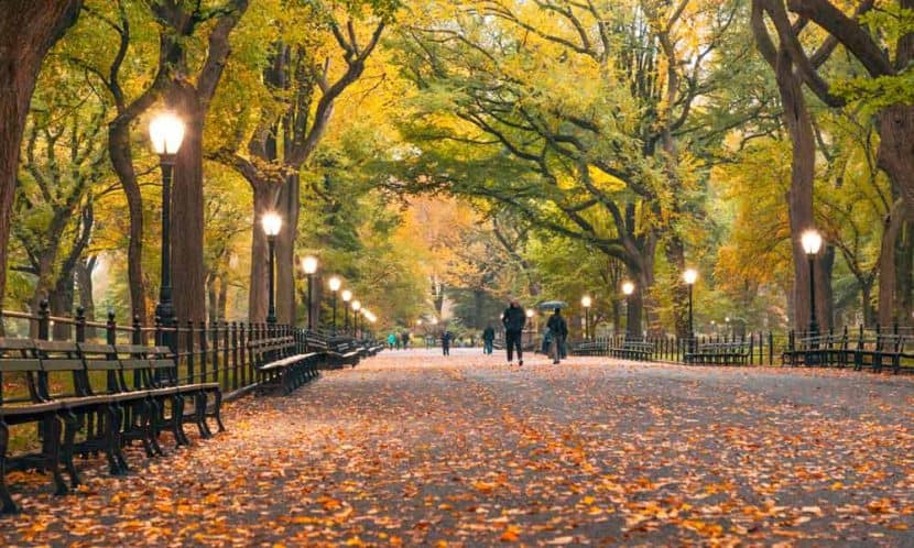 Mejor época para viajar a Nueva York | IATI Seguros