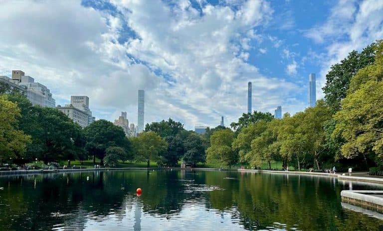 Mejor época para viajar a Nueva York | IATI Seguros