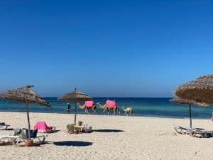 Djerba, a ilha mais famosa da Tunísia | IATI Seguros